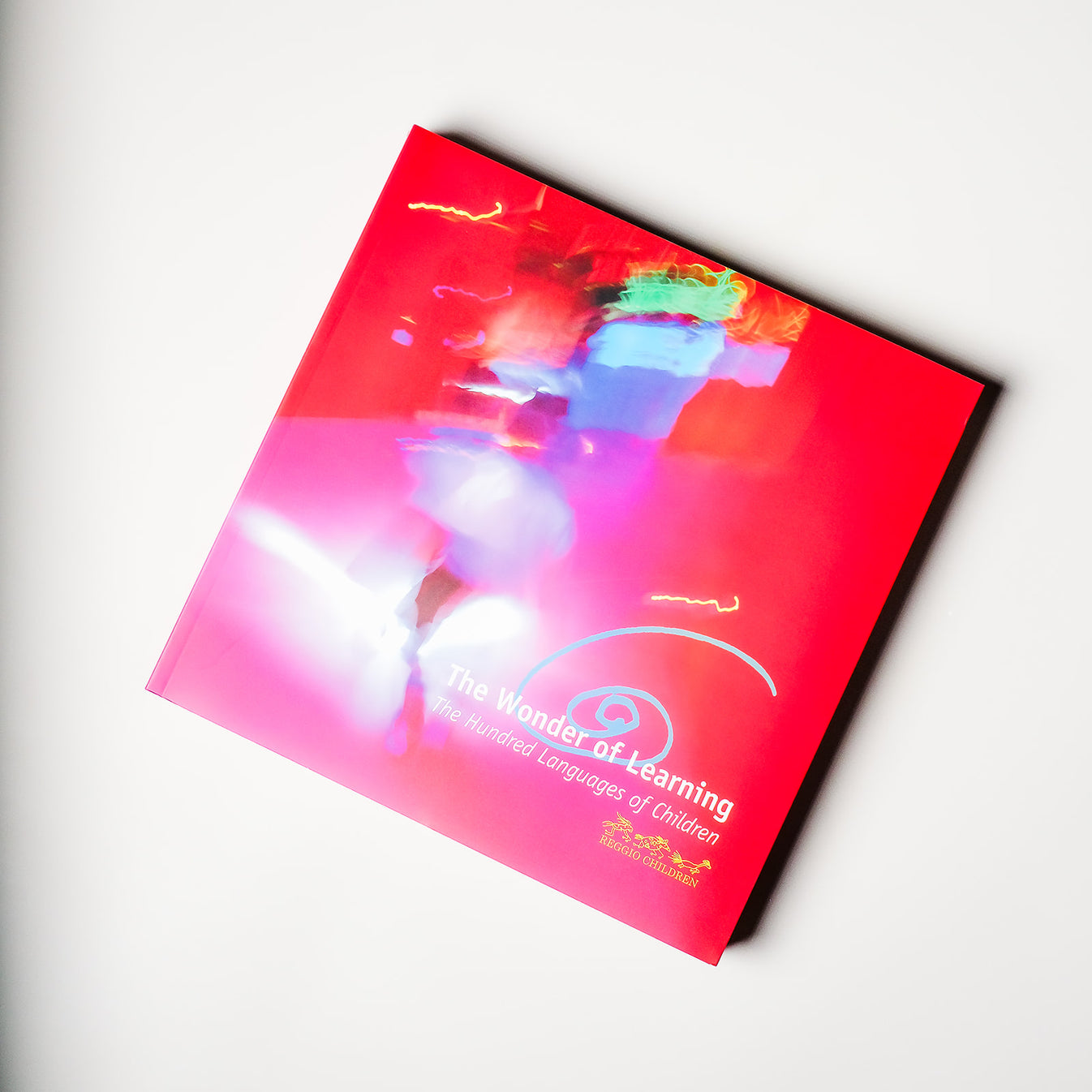 The Wonder of Learning Exhibition Catalogue – North American Reggio ...