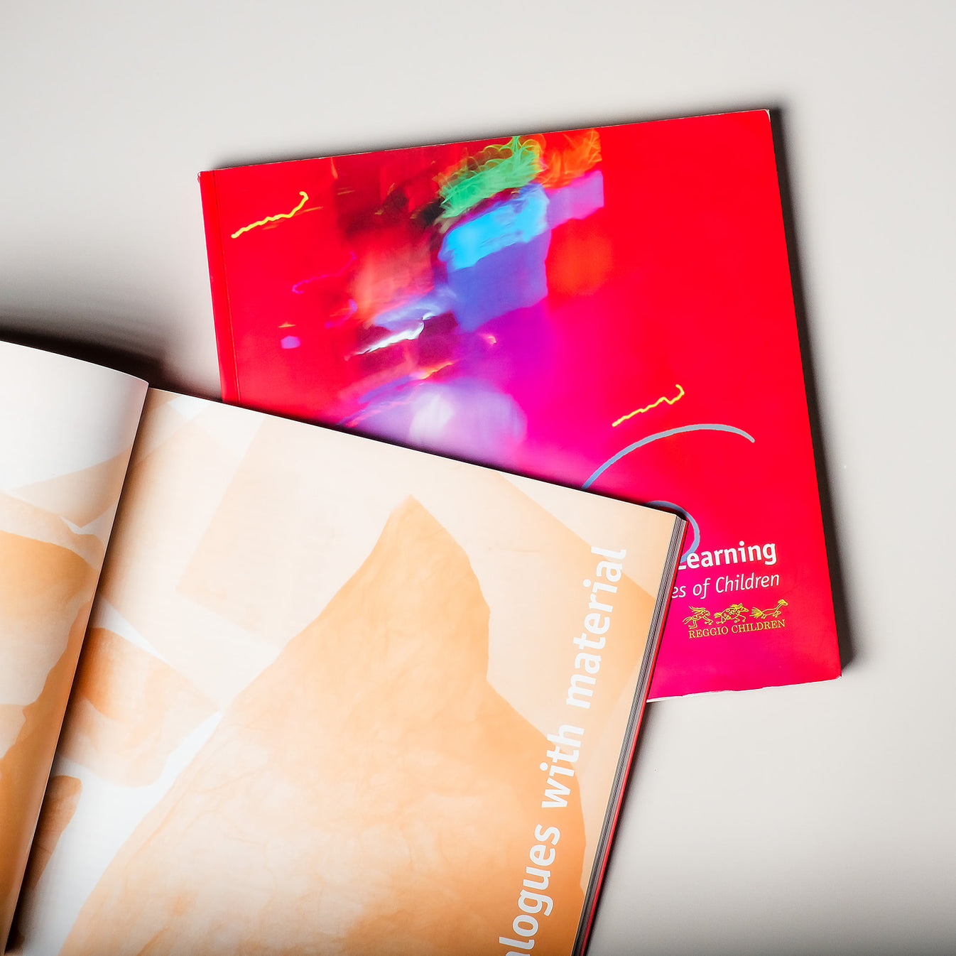 The Wonder of Learning Exhibition Catalogue – North American Reggio ...